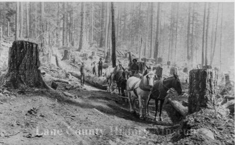 Lane County History - Thriving Oregon